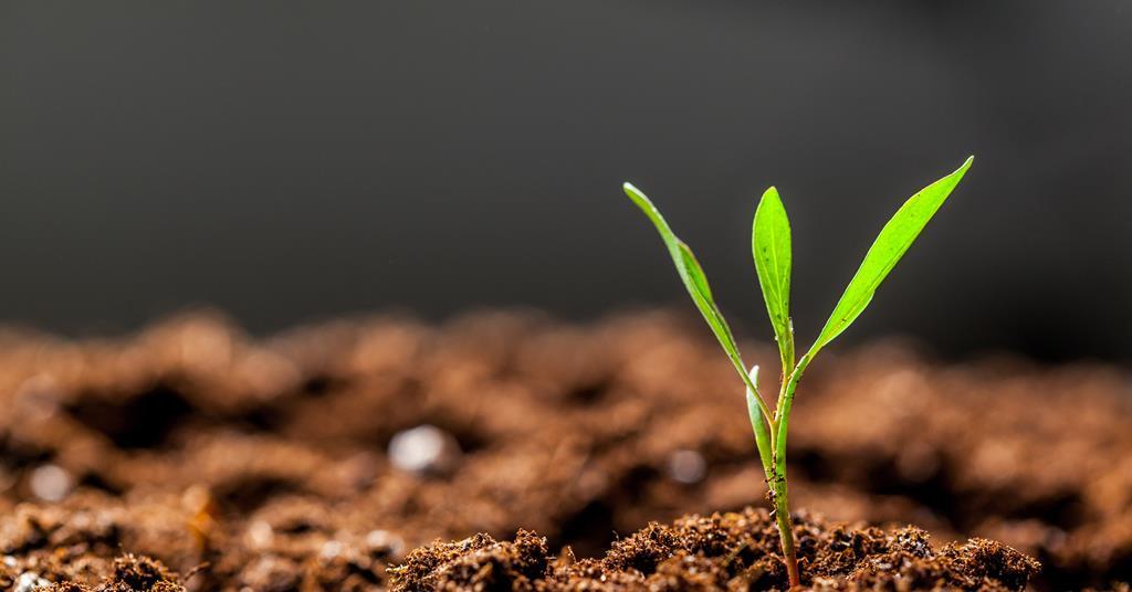 Seventeen Group purchases Devon-based broker | Insurance Times