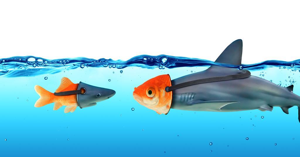 Insurance Fraud Bureau appoints Axa veteran as new non-exec director ...