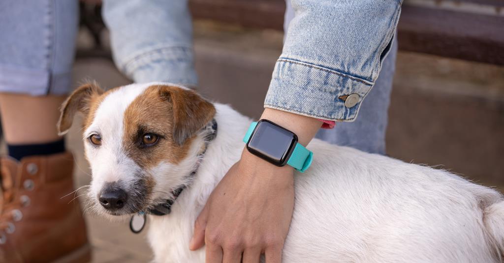 Pet wearables firm launches product in partnership with Ignite and ...
