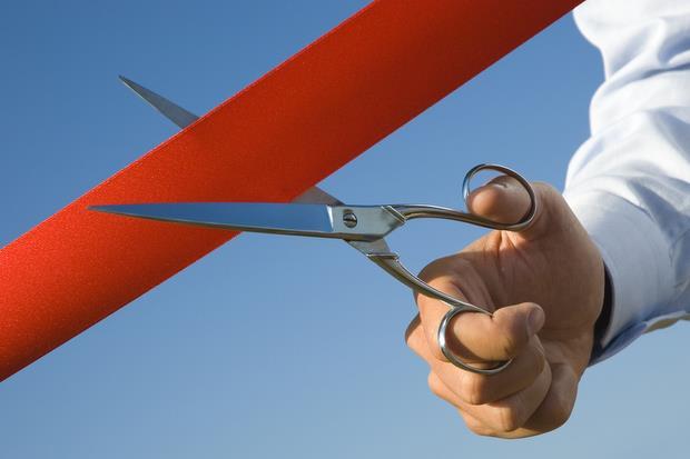 alchemy underwriting