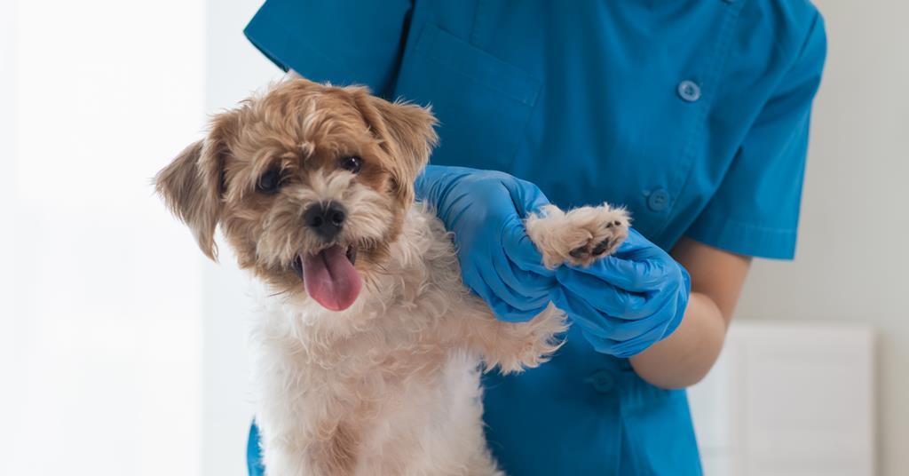 Aon launches AI-assisted claims co-pilot service | Insurance Times