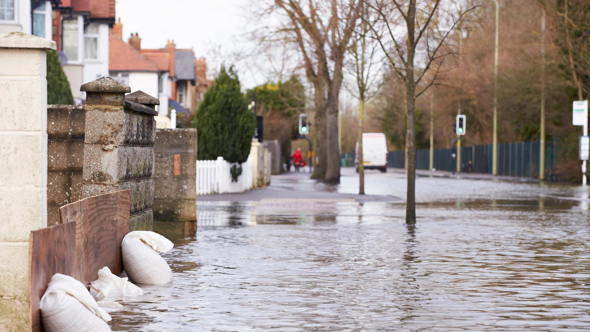 FPCs and ‘Build Back Better’ approach can support communities ...